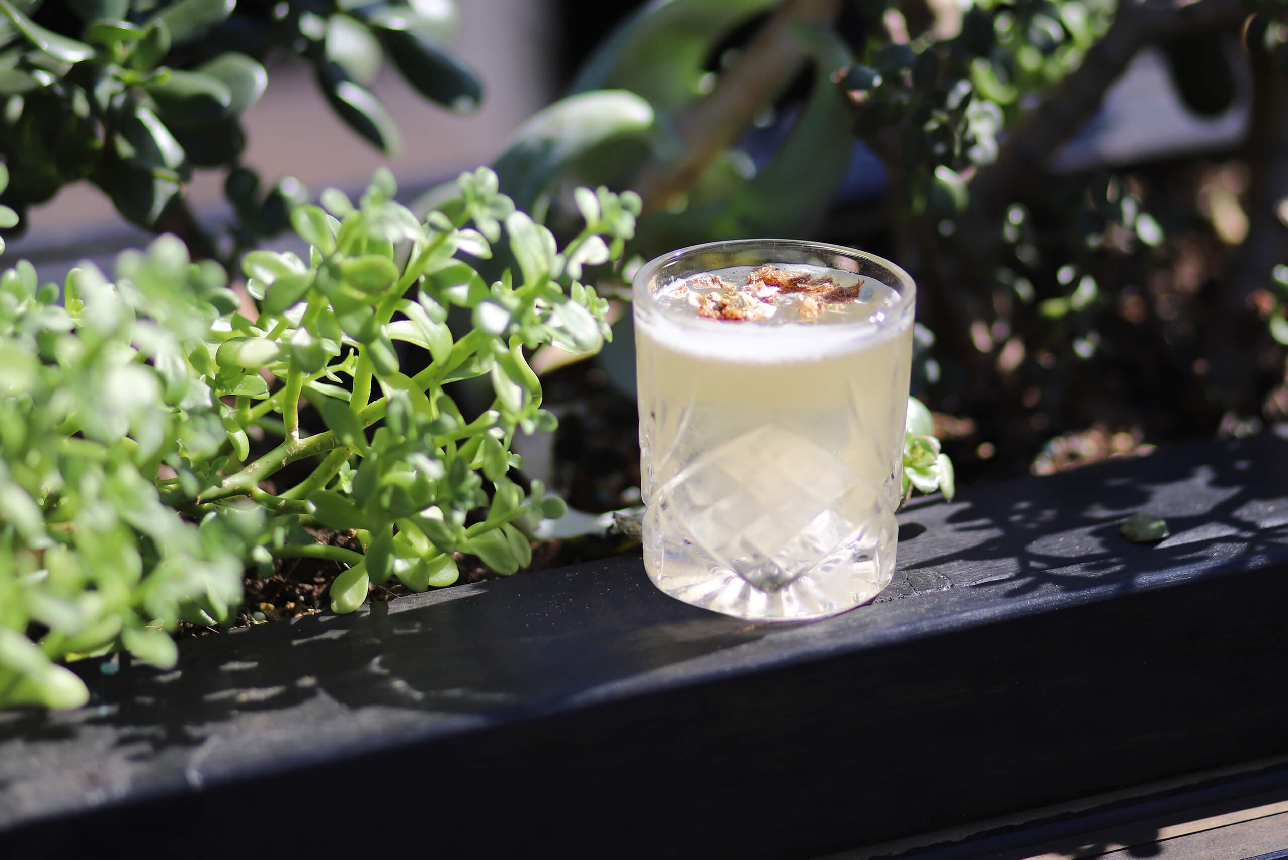 Drink - Better Days Bar